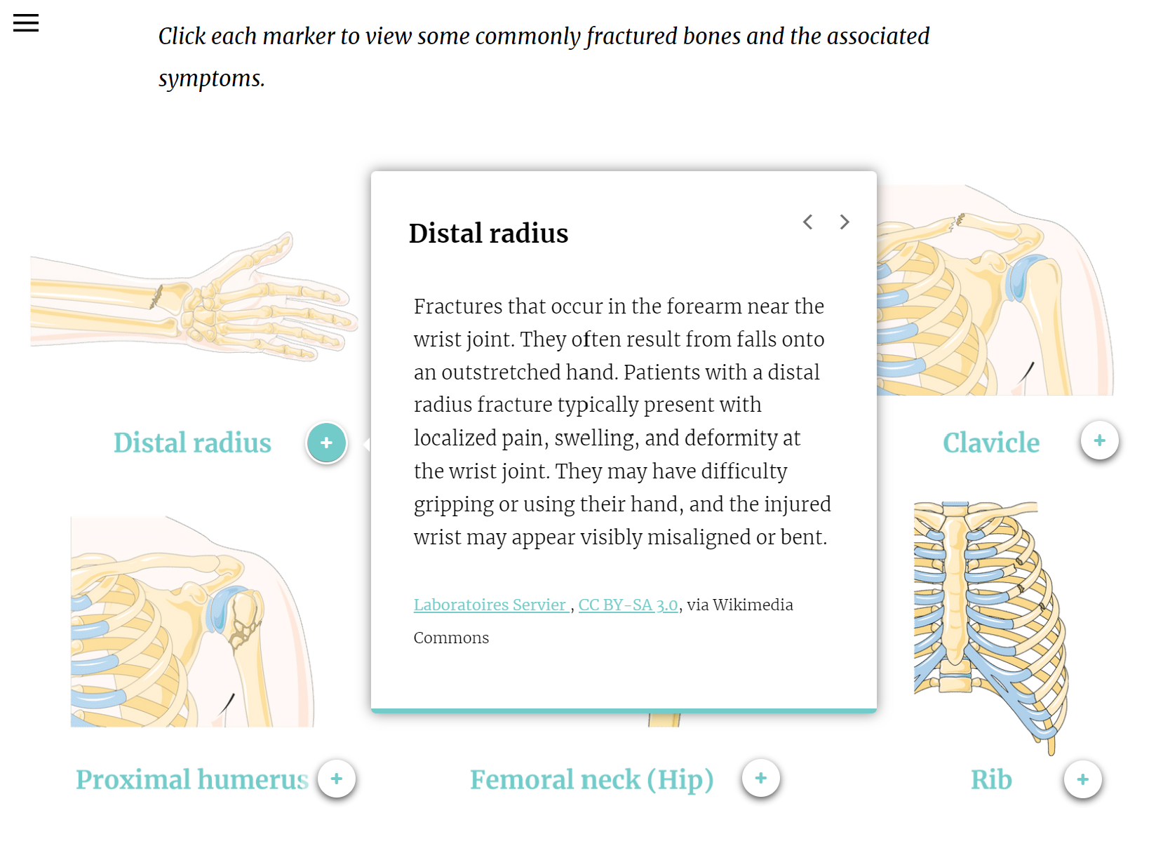 CEN Review Course: Essentials of Emergency Nursing | The Board of ...